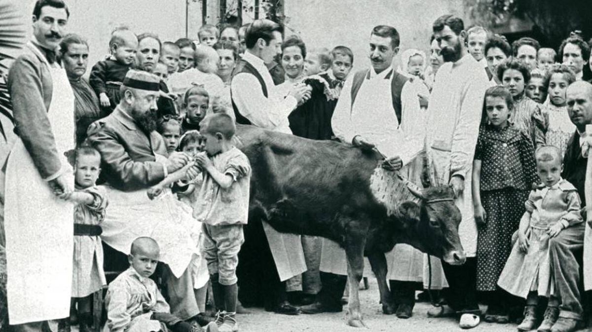 Em busca do segredo da primeira vacina da humanidade, que erradicou a ...