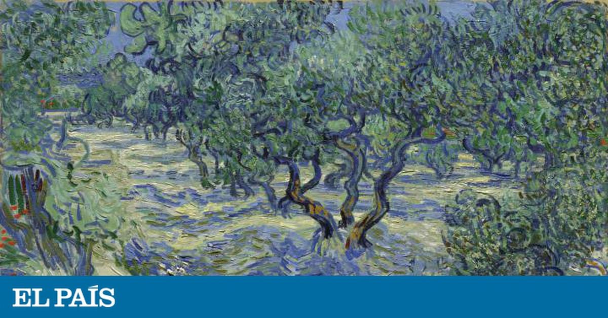 Um gafanhoto esteve incrustado mais de um século em um Van Gogh | Cultura | EL PAÍS Brasil