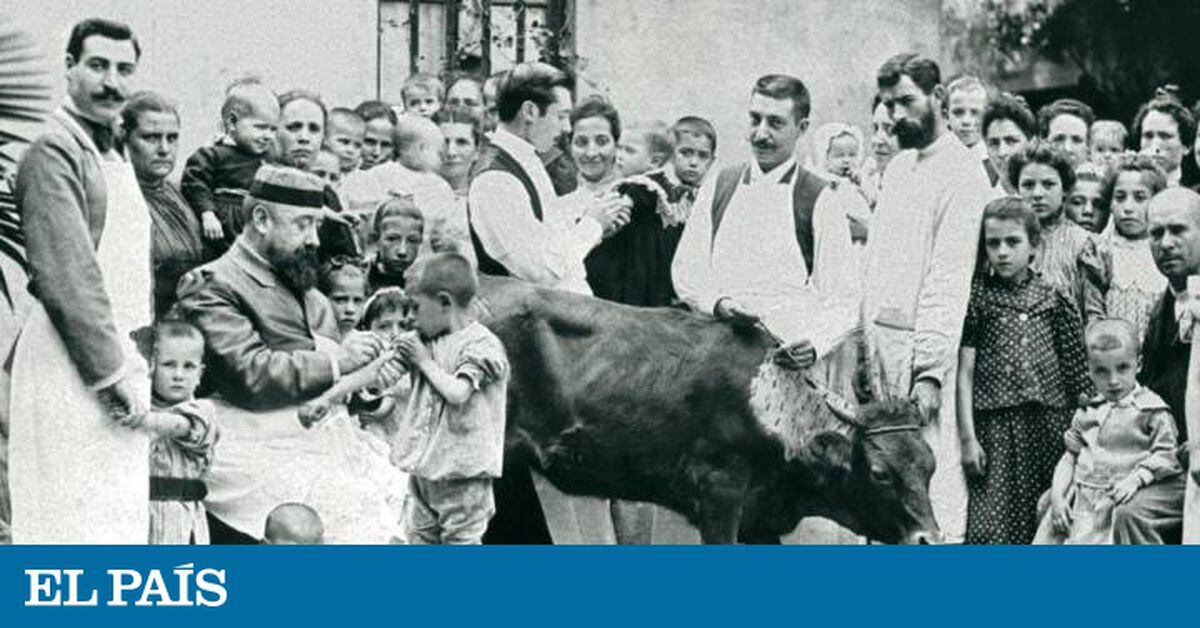 Em busca do segredo da primeira vacina da humanidade, que erradicou a ...