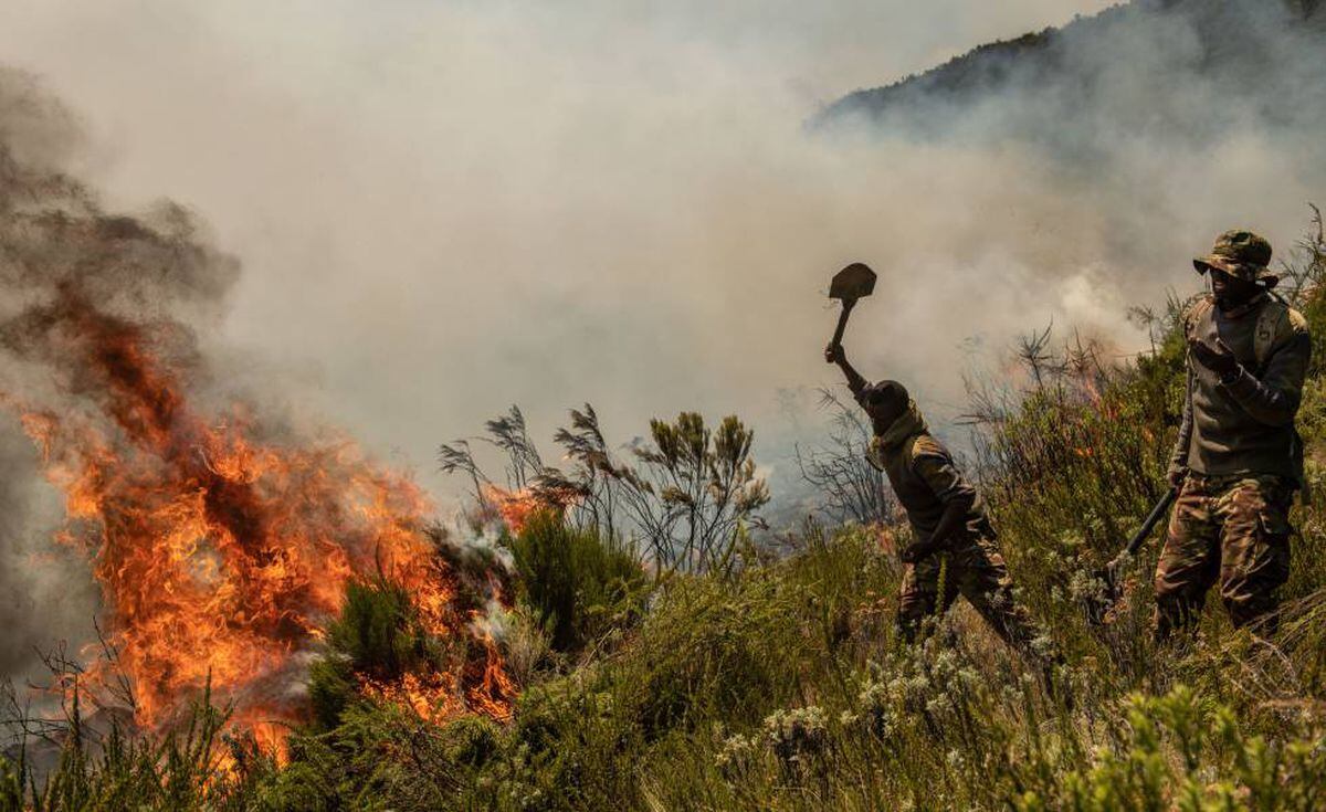 Incêndios: A África arde ainda mais do que a Amazônia | Internacional ...