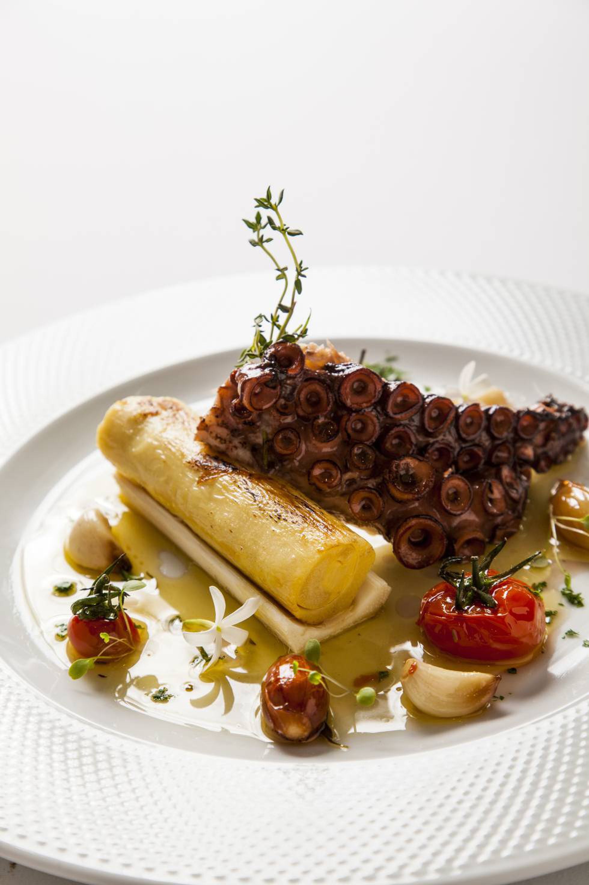 Todo poder ao polvo: o que você precisa saber para prepará-lo em casa ...